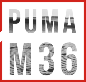 Puma-M36 -Variant-Armoured Personnel Carrier About - OTT